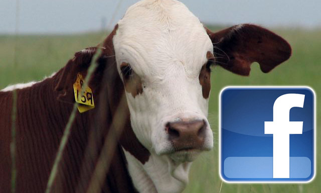 facebook-news – SA Braford